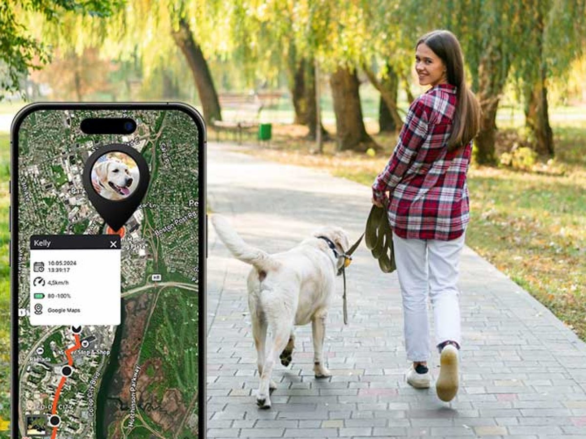 Parque Para Perros 5 Parques Para Disfrutar Con Tu Perro En Sevilla
